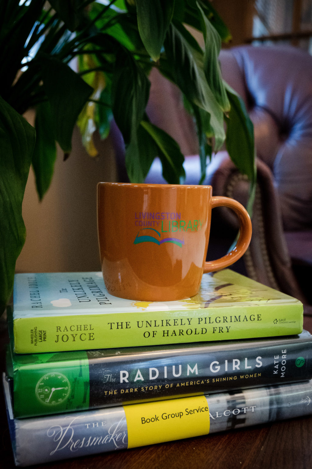 Book Clubs/Groups – Livingston County Library