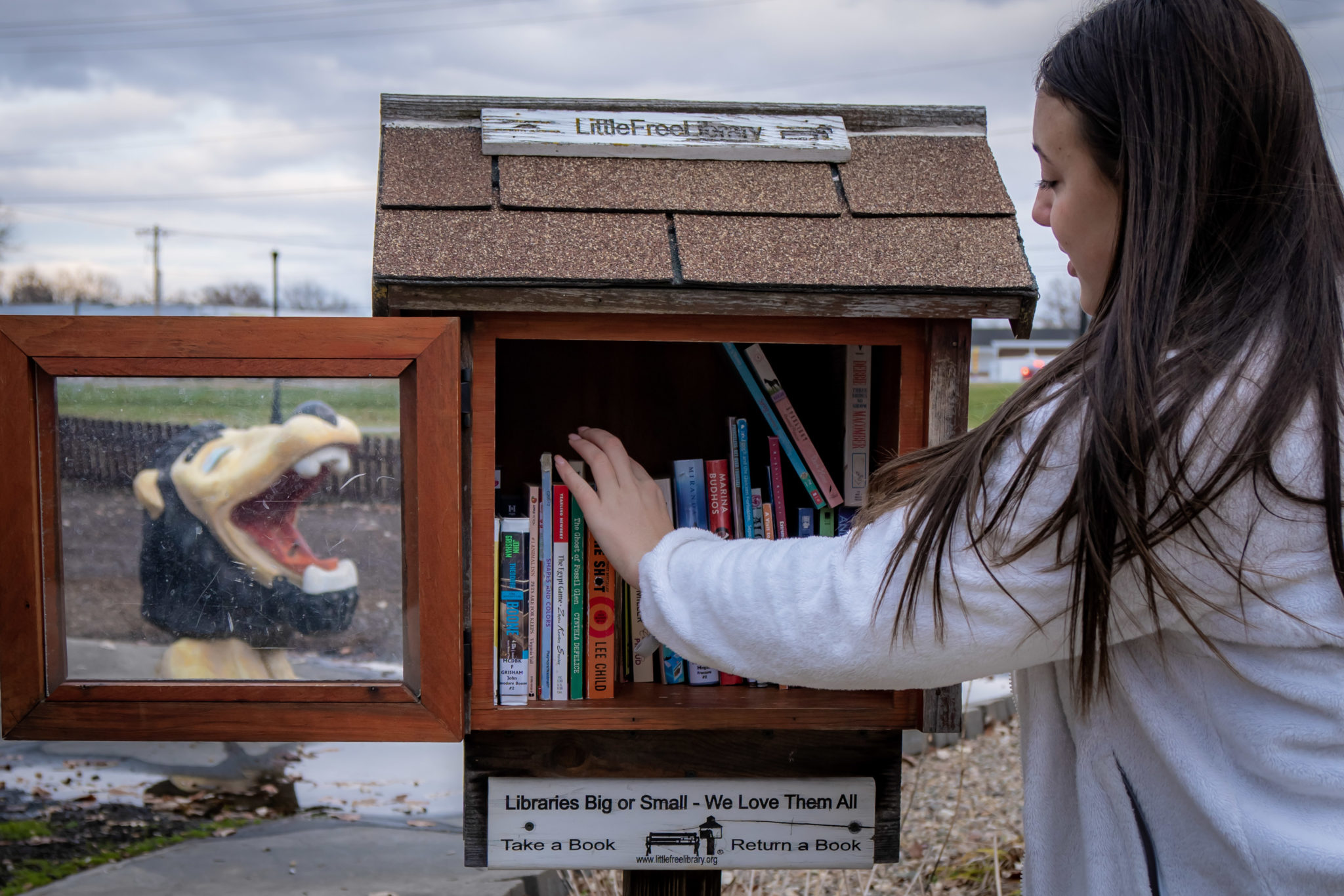 Little Free Libraries – Livingston County Library